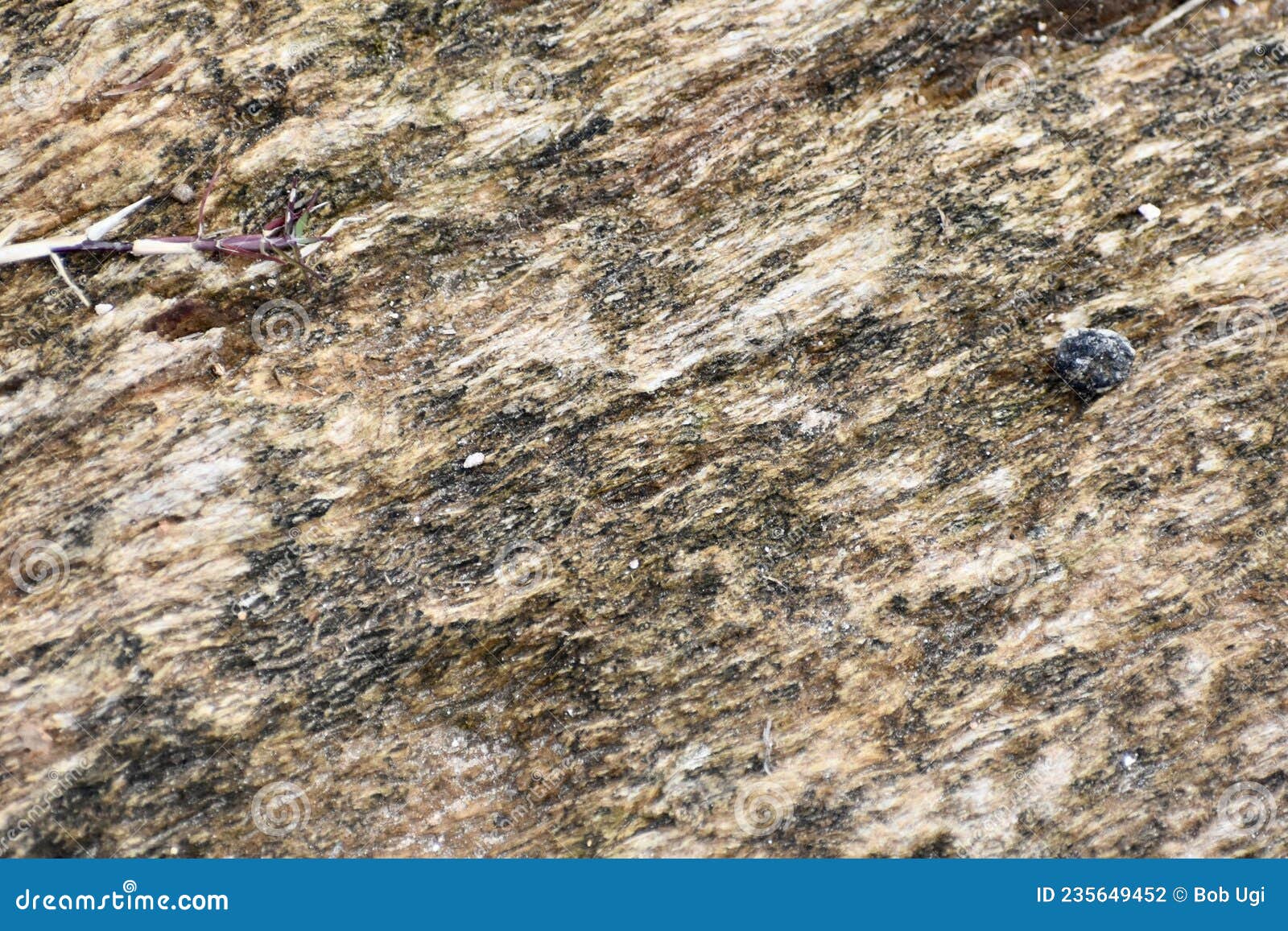 Rock stock photo. Image of rock, stone, texture, strata - 235649452