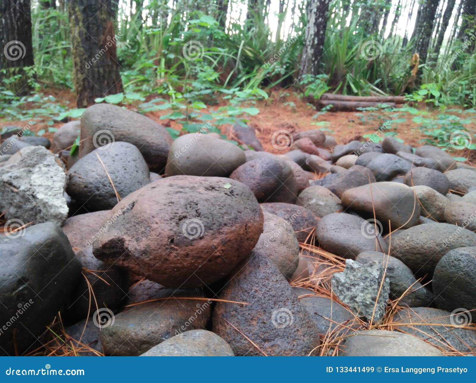 Stone Piles in the Forest Area Stock Image - Image of mangunan ...