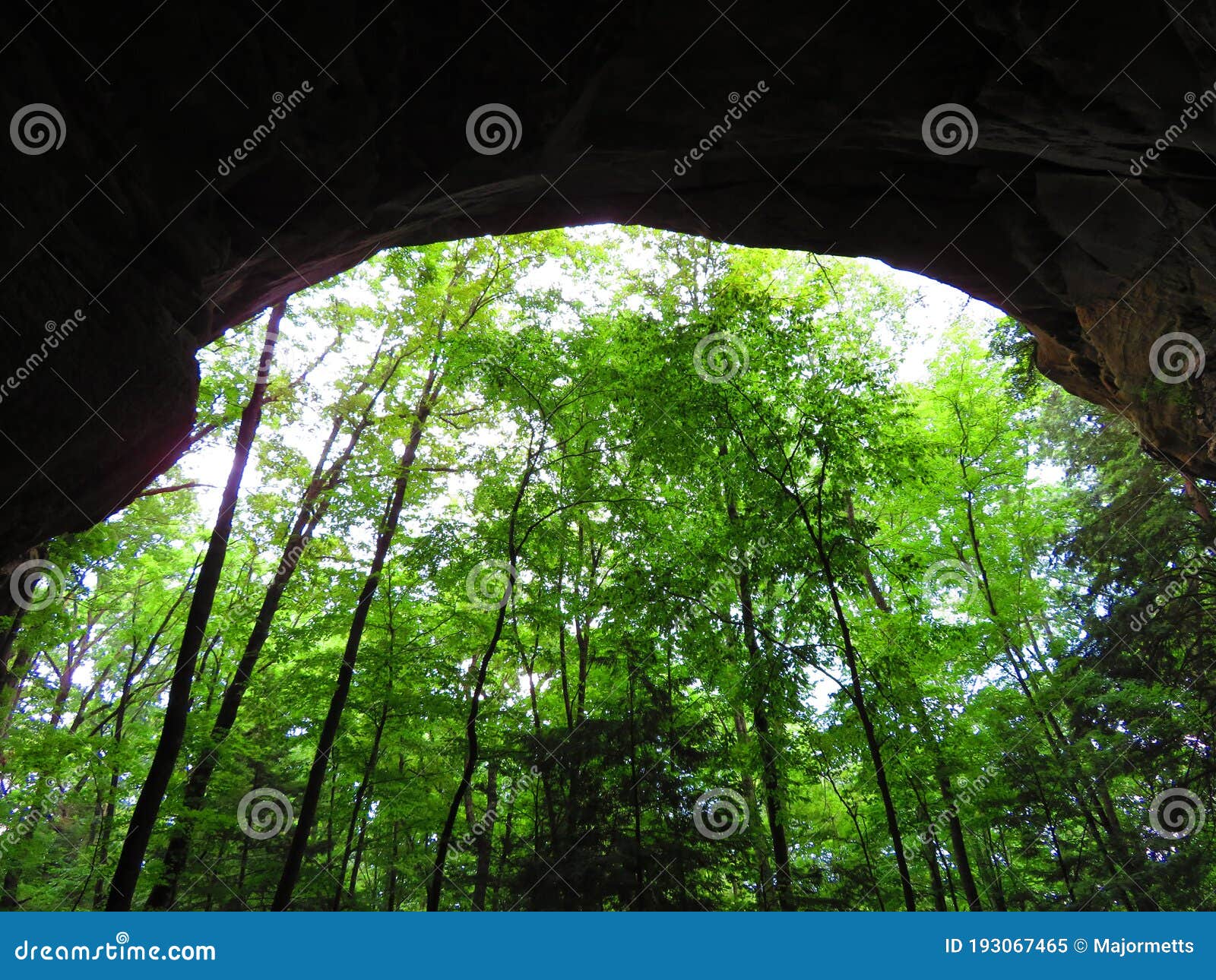 Rock arch framing trees stock image. Image of tree, trees - 193067465