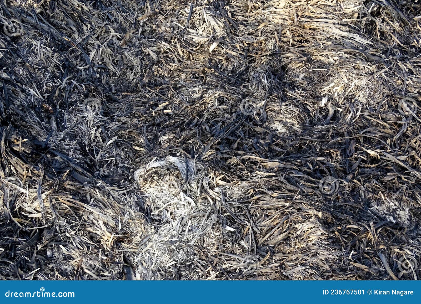 Rock ash after grass burn stock image. Image of grunge - 236767501