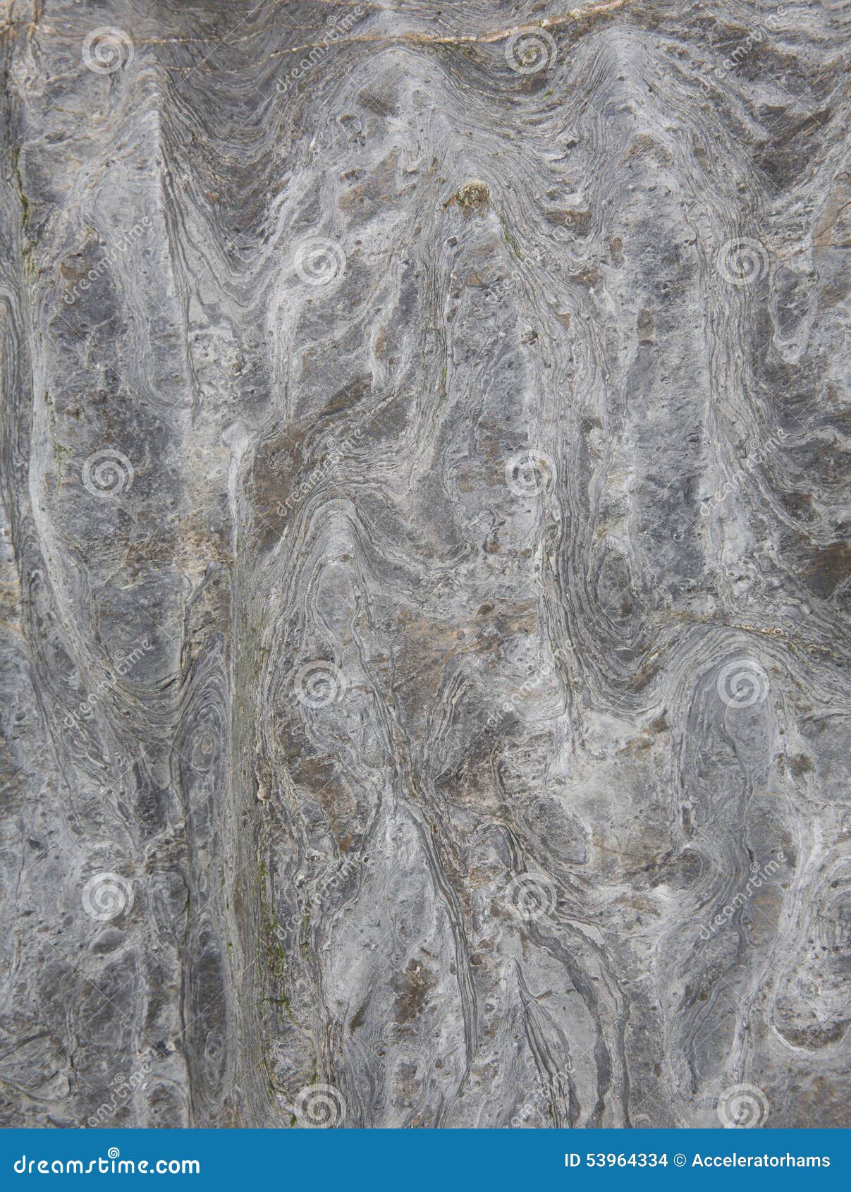 Rock Background Texture with Swirl and Natural Pattern Stock Photo ...