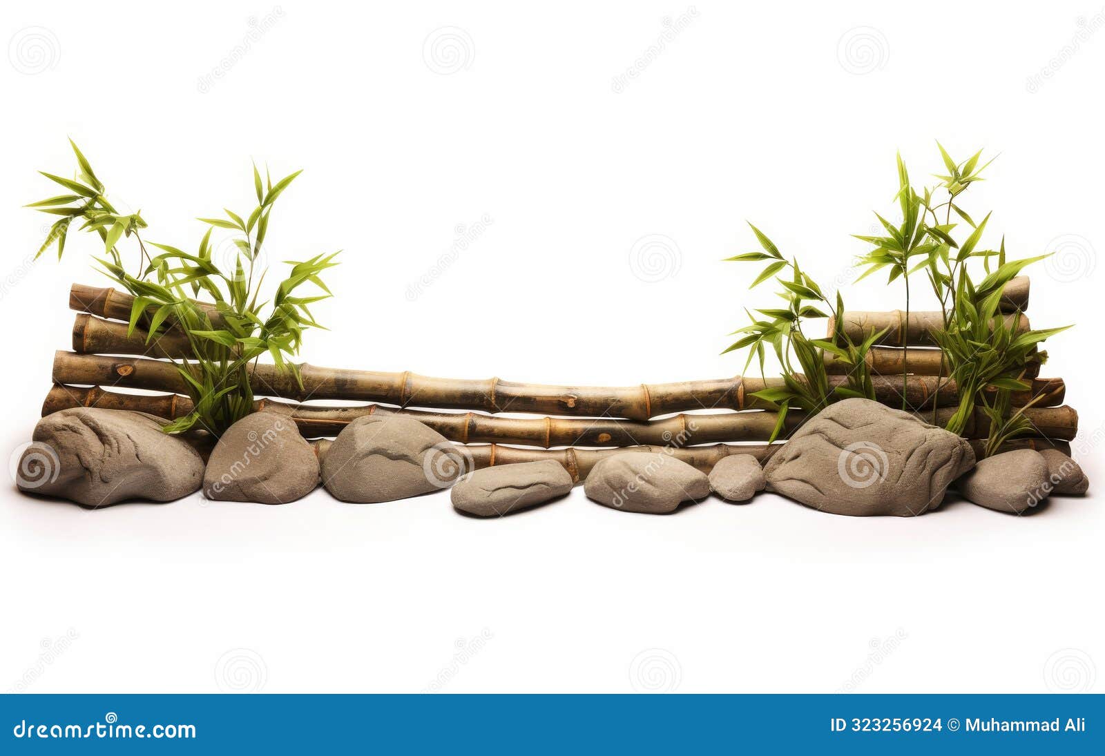 A Rock and Bamboo Planter on White Background Stock Illustration ...