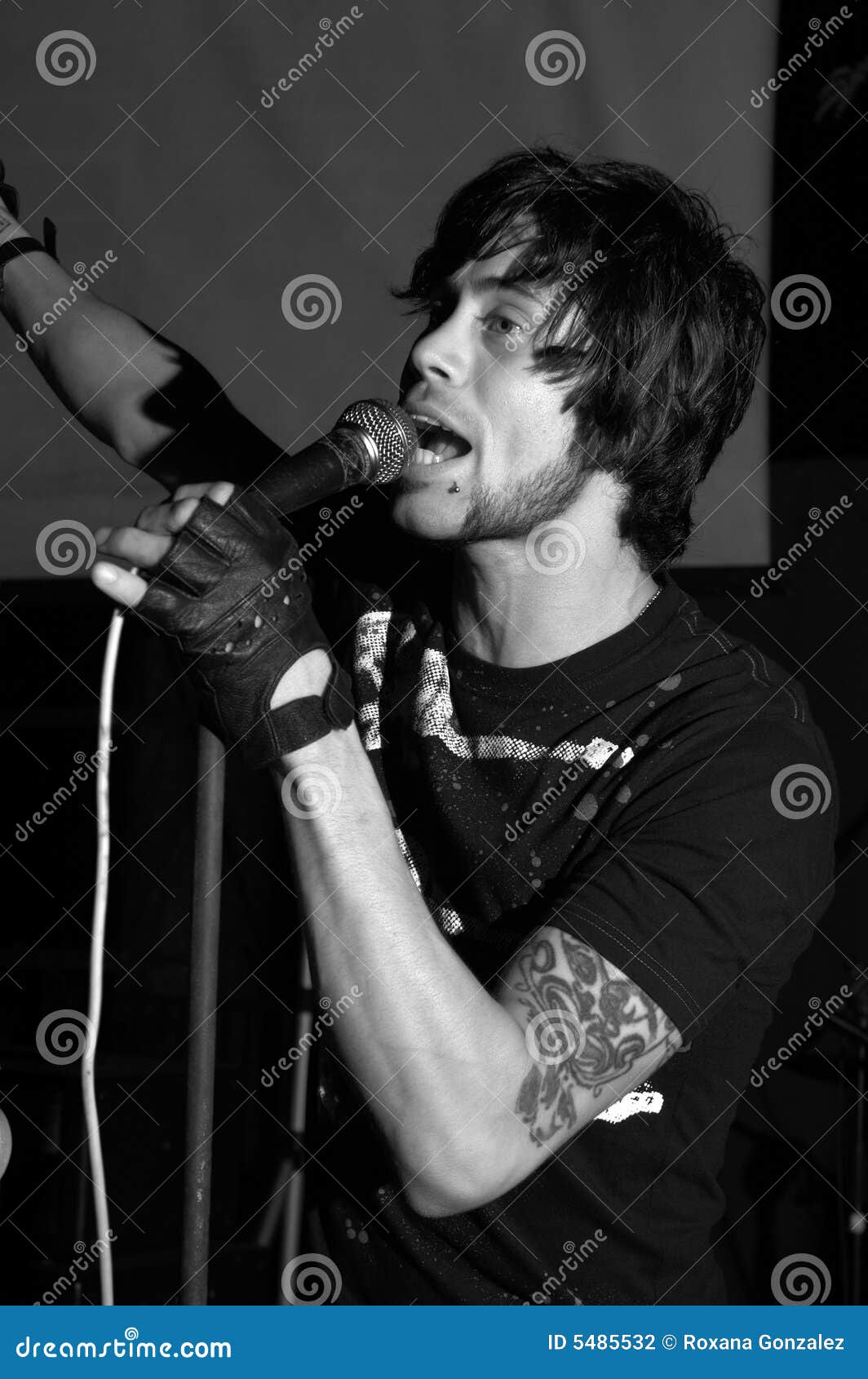 Rock band singer stock photo. Image of male, microphone - 5485532