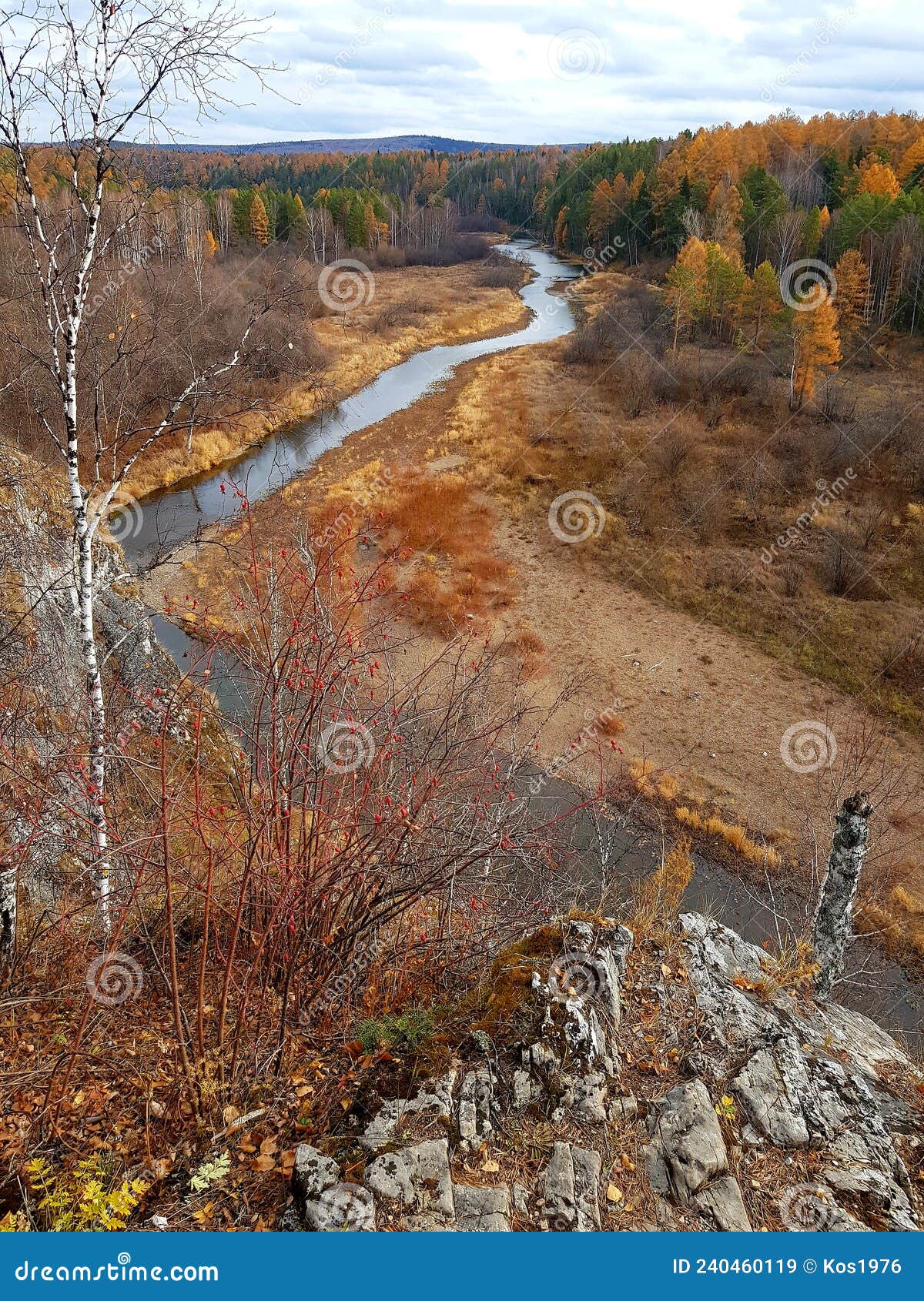 Rock on the river bank stock image. Image of leaves - 240460119