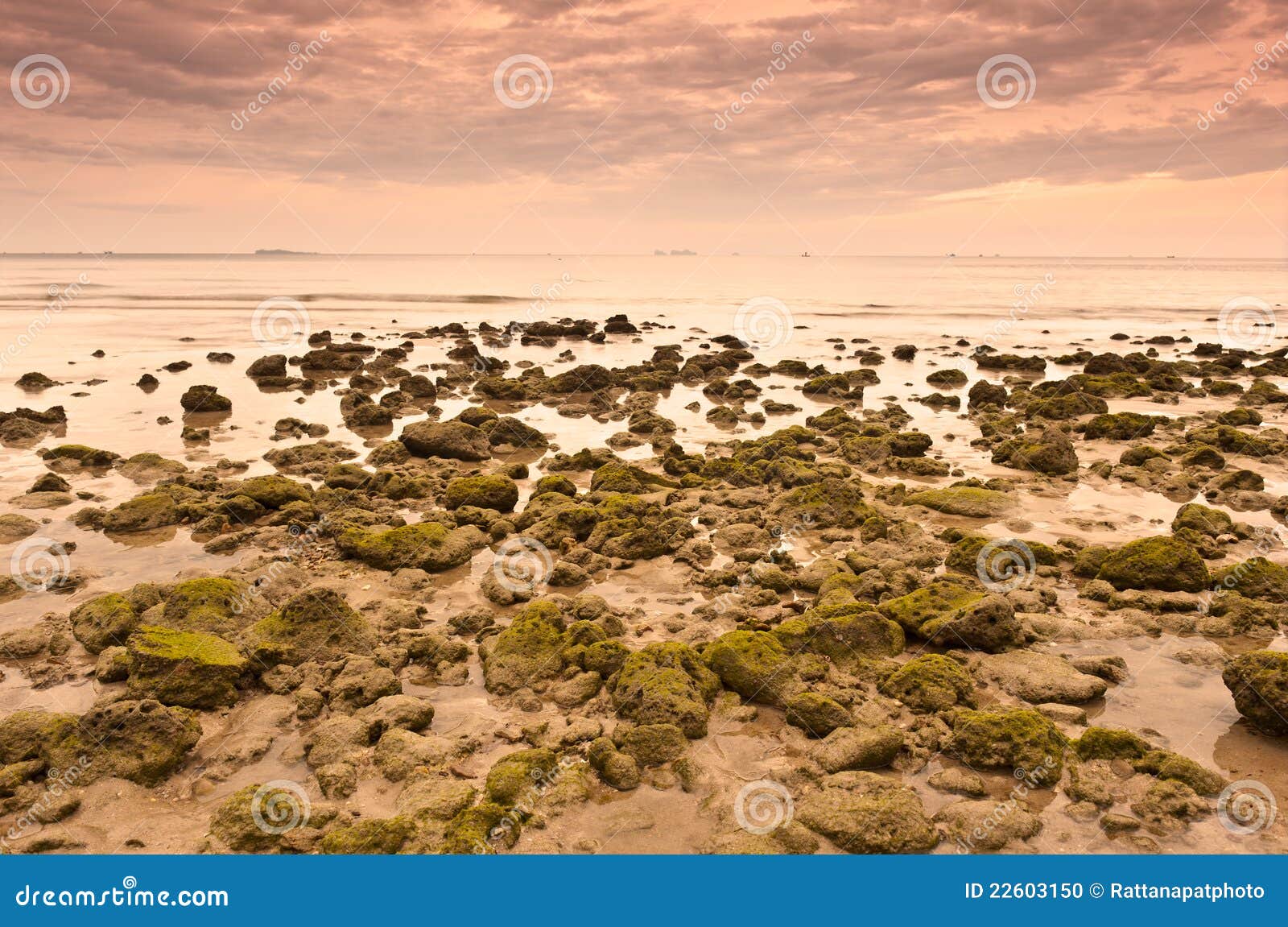 Rock on the beach stock photo. Image of ocean, stone - 22603150