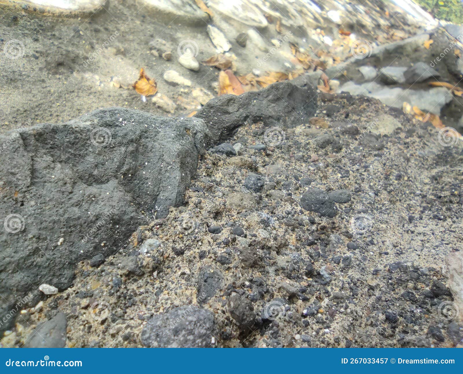 Rock on the beach stock image. Image of rock, water - 267033457