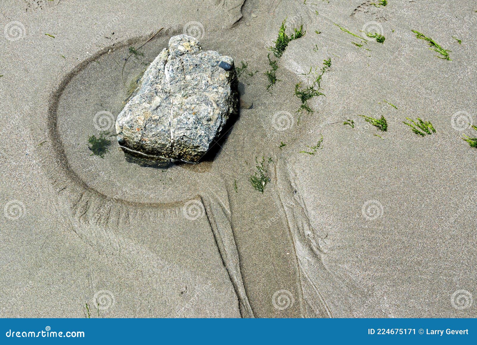 Rock on the Beach Creates Art Stock Image - Image of harbor, calm ...