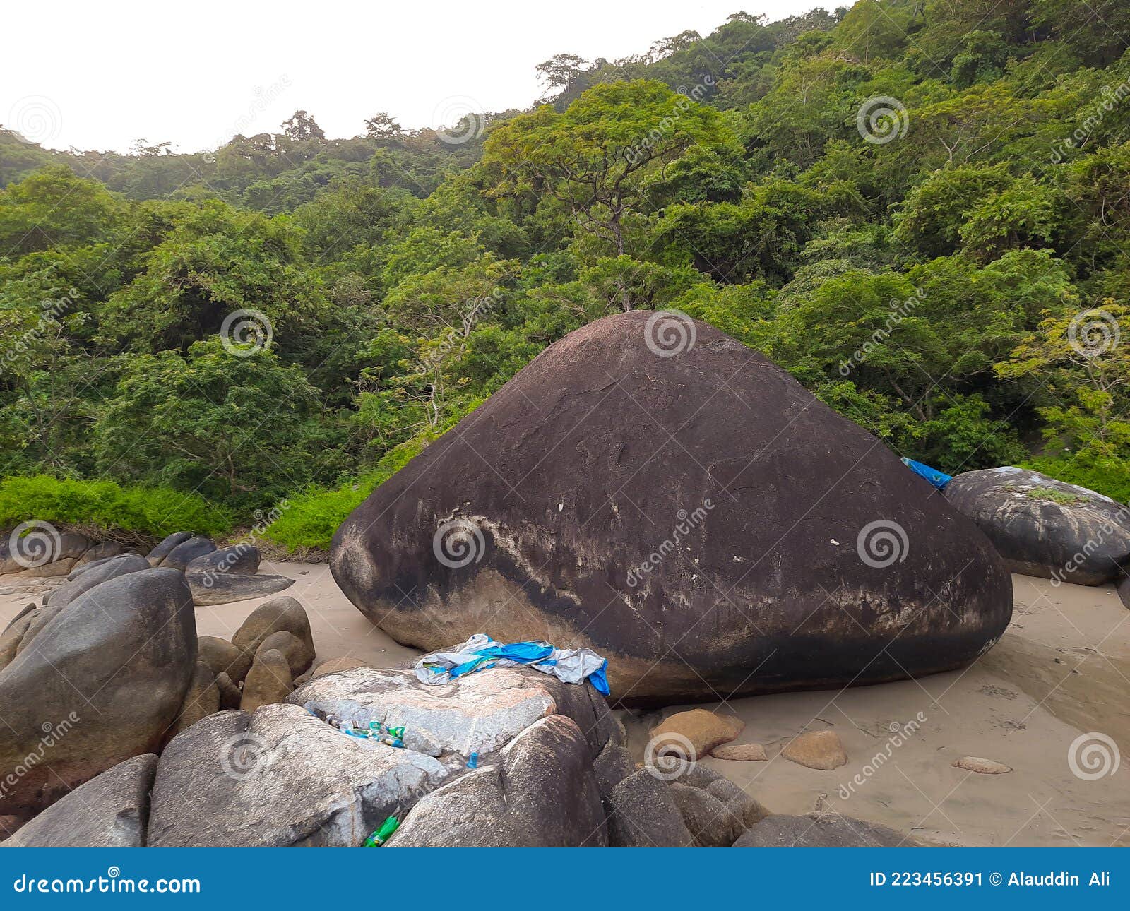Rock in the Beach, Goa Beach, Beach in Under the Forest. Stock Image ...