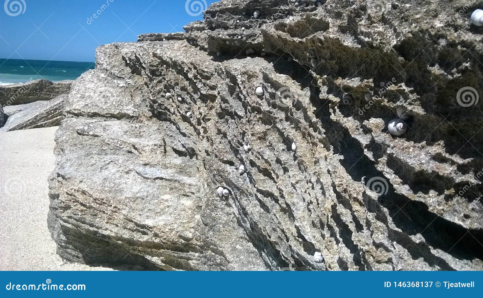 Rock on a Beach in Perth Australia Stock Image - Image of coastal ...