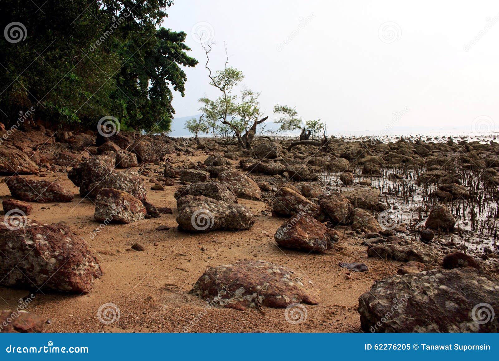 Rock on the Beach Phuket, Thailand Stock Image - Image of beach, view ...