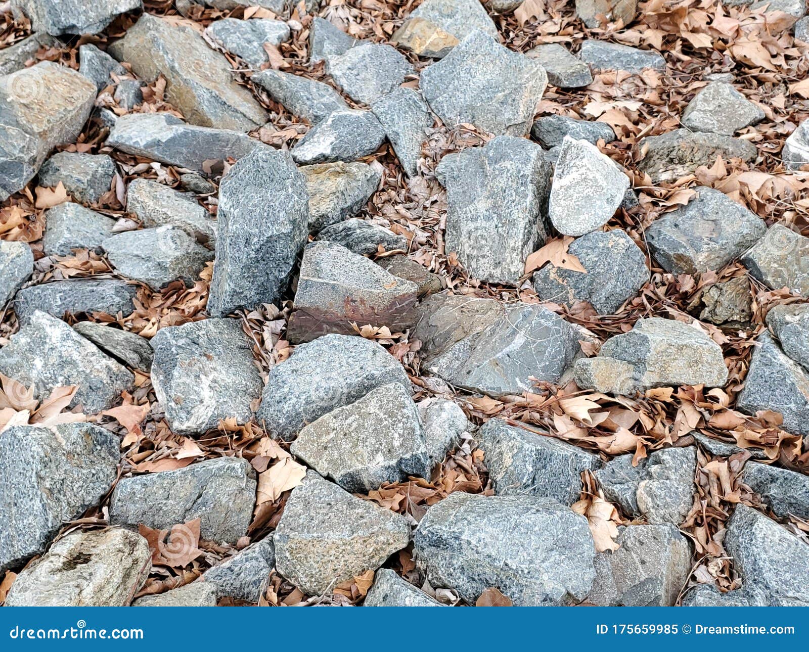 Rock Bed stock image. Image of rock, tree, group, small - 175659985