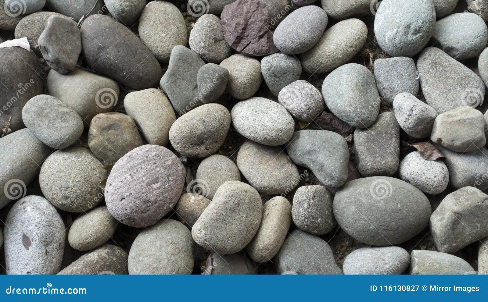 Rock Bed or Rounded Smooth Stones Stock Image - Image of nature, walk ...