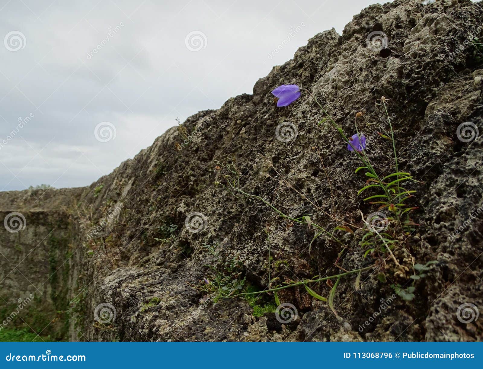 Rock, Bedrock, Outcrop, Escarpment Picture. Image: 113068796