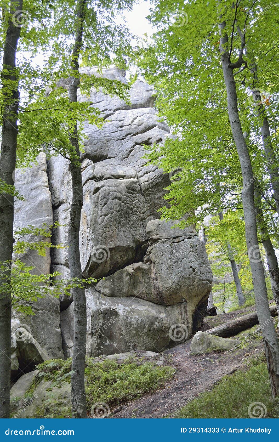 Rock behind trees leaves stock image. Image of cracks - 29314333