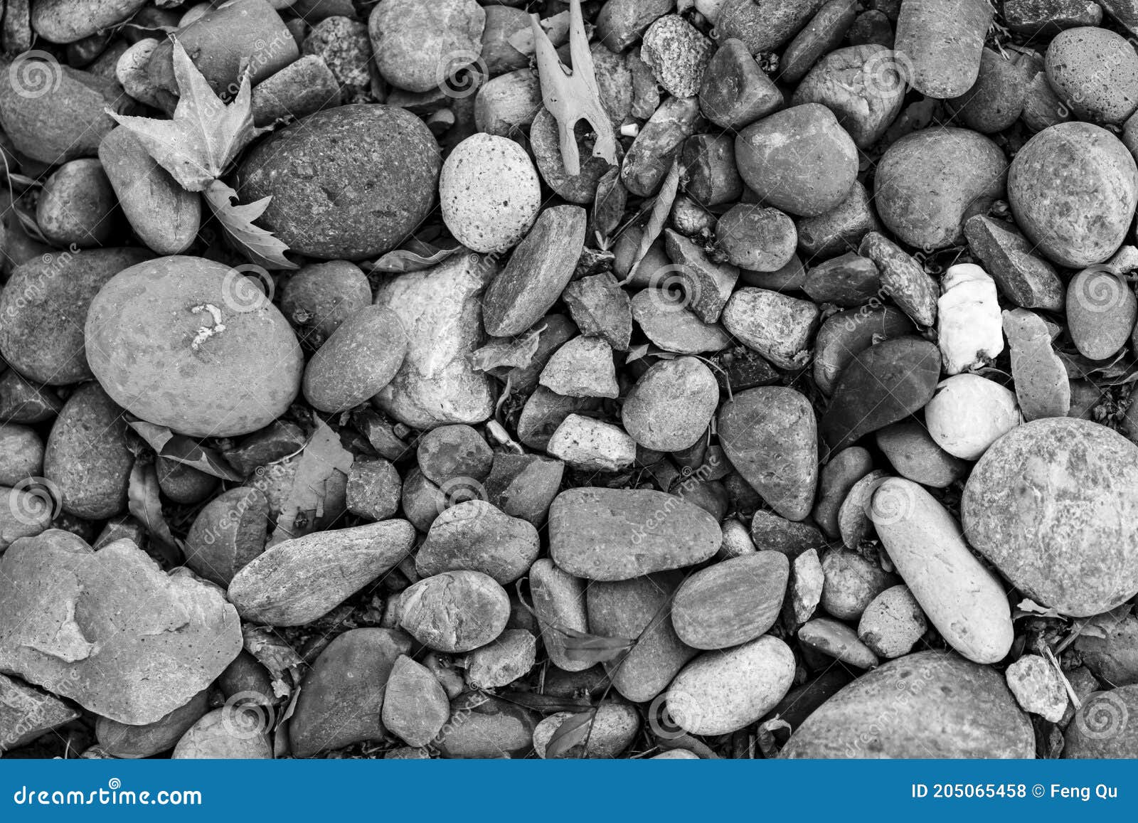 Rock in black and white stock photo. Image of stone - 205065458
