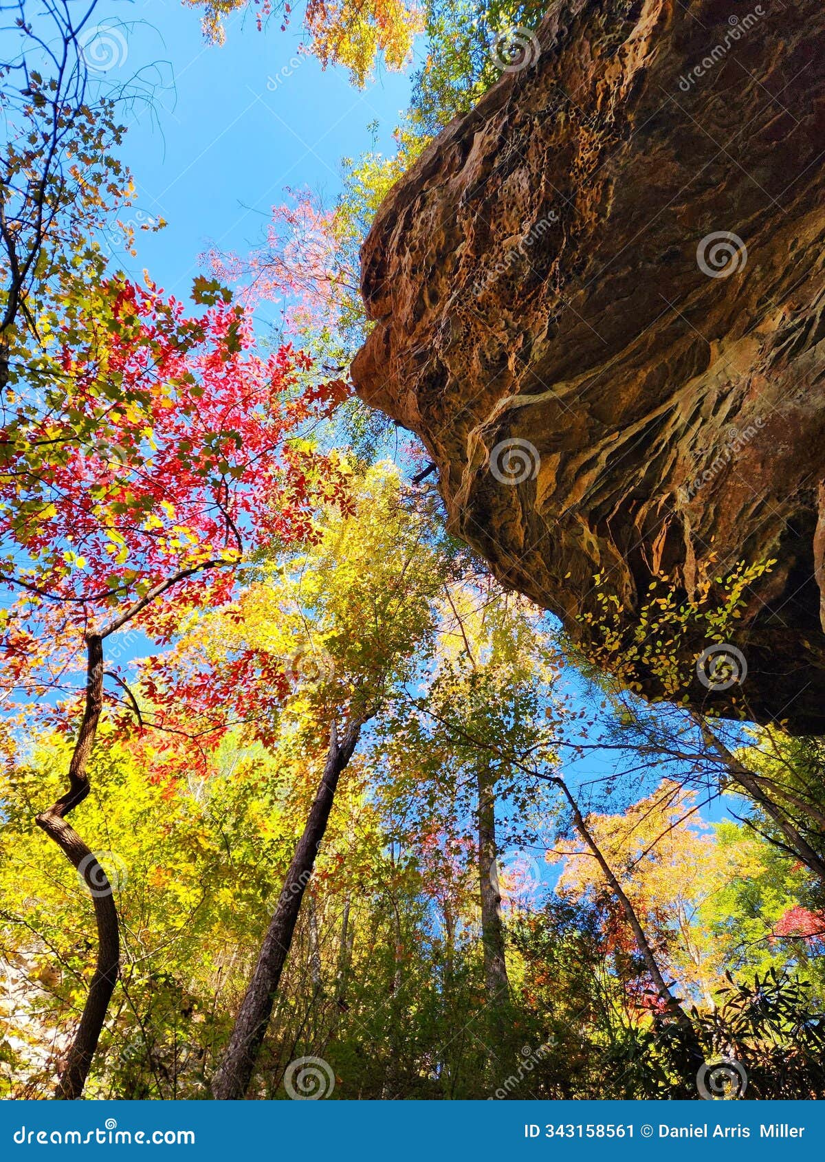 Rock Bluff Fall Foliage Nature Scenic Abstract Art Stock Image - Image ...