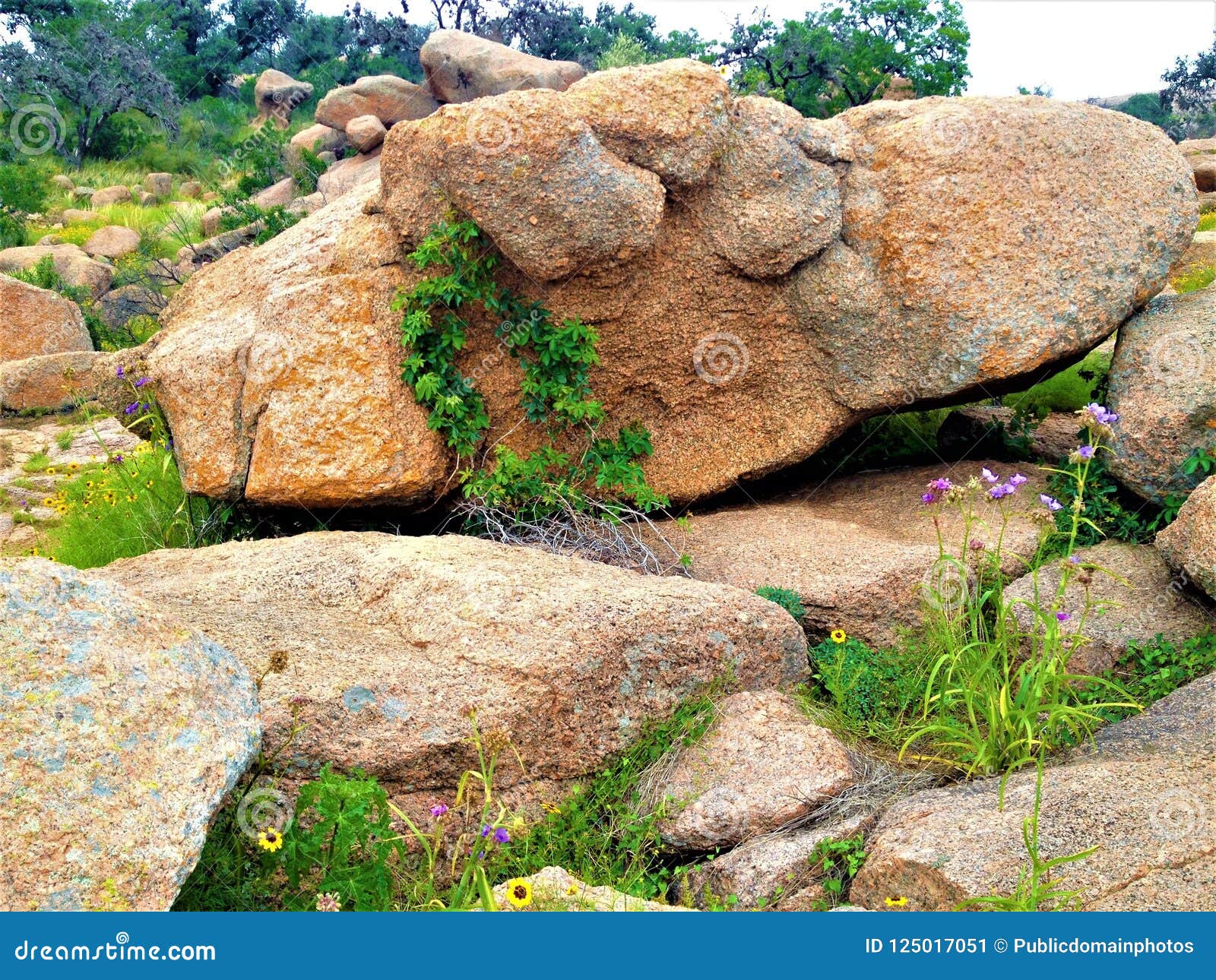 Rock, Boulder, Vegetation, Plant Picture. Image: 125017051