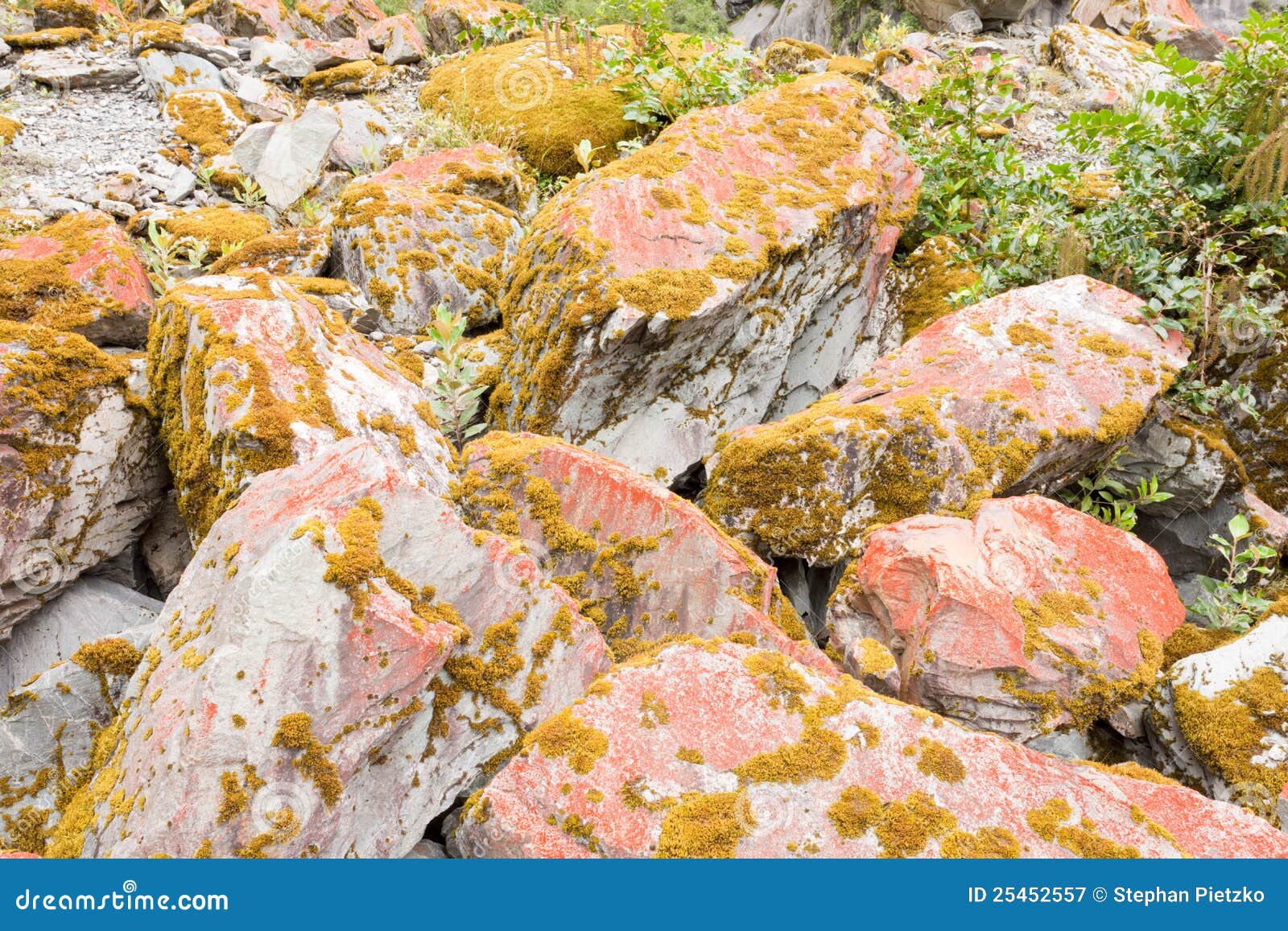 Rock Boulders Covered with Orange Lichens and Moss Stock Image - Image ...