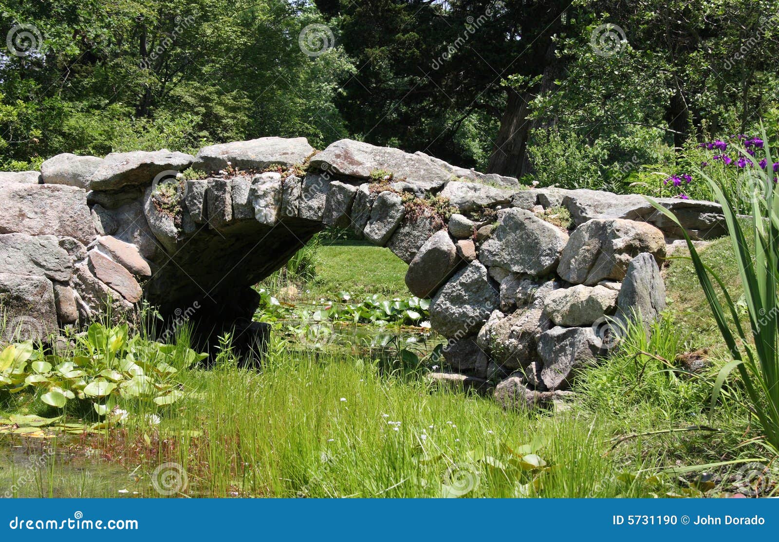 Rock bridge stock photo. Image of rough, natural, arch - 5731190
