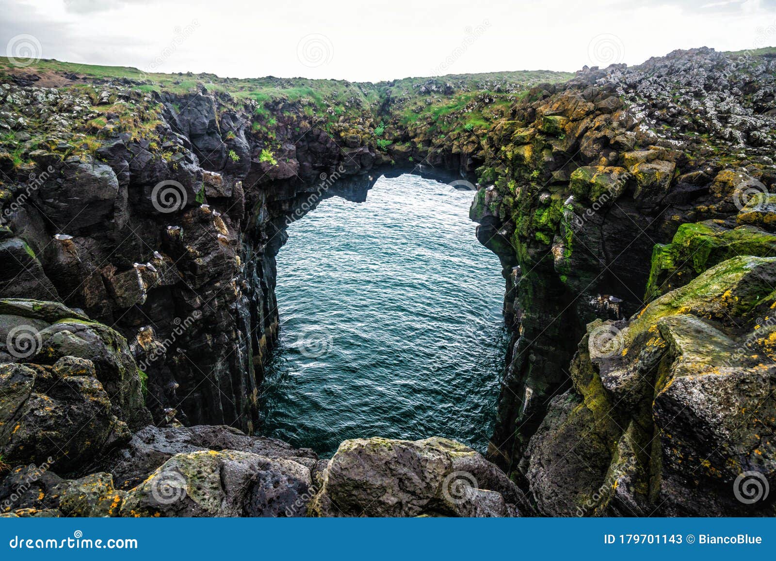 Rock Bridge Landscape in Arnarstapi, Iceland Stock Image - Image of ...