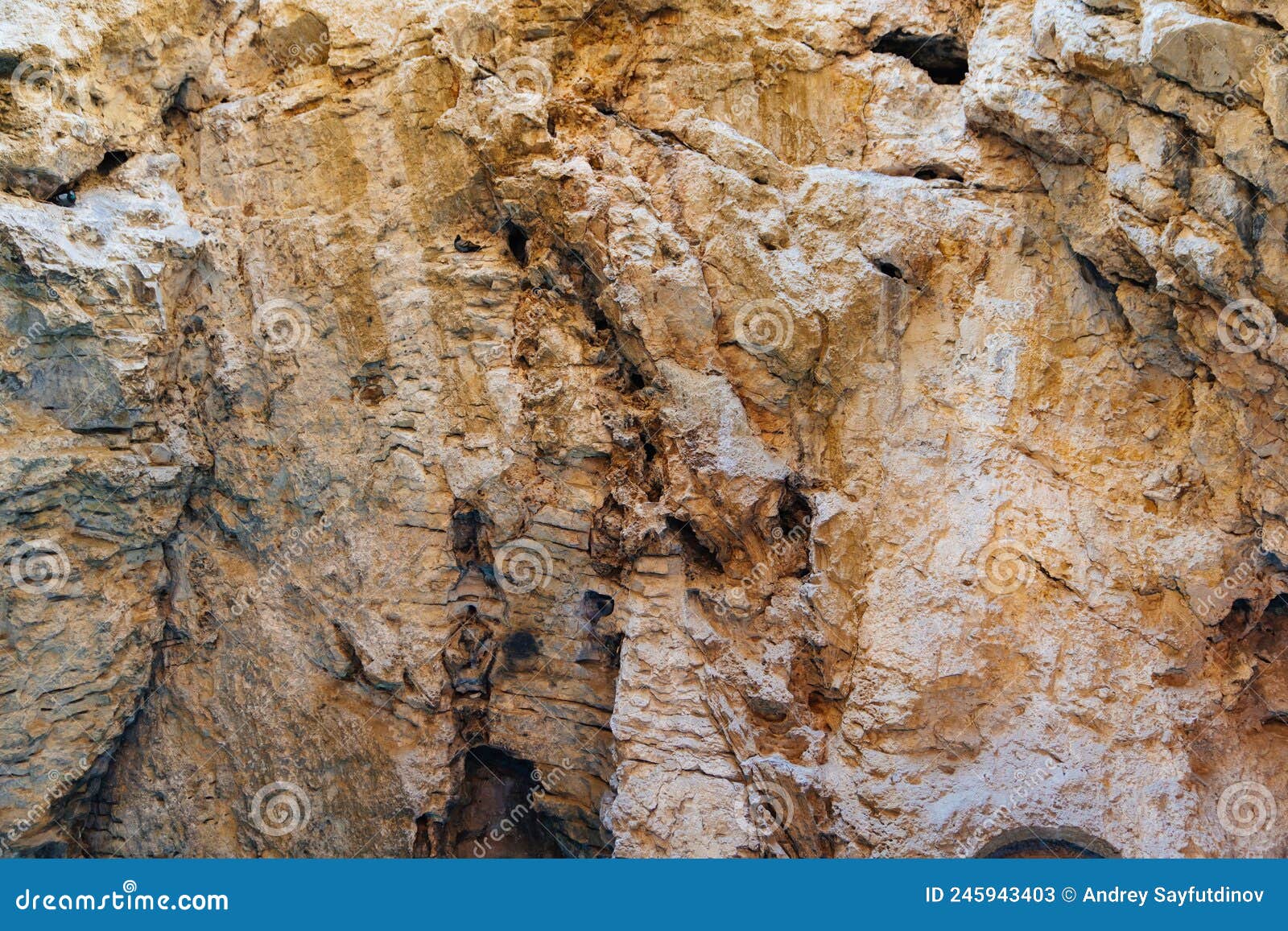 A Rock with Burrows Nesting Birds. Bird Nesting in the Mountains Stock ...