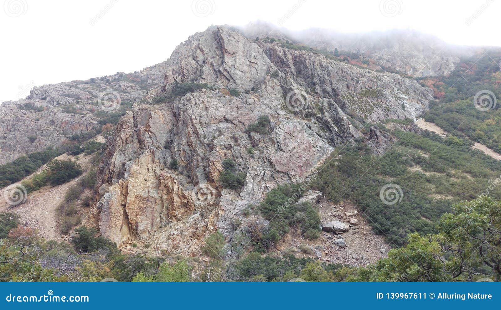 Rock Canyon Sheer Rock Face Stock Image - Image of faceted, rock: 139967611