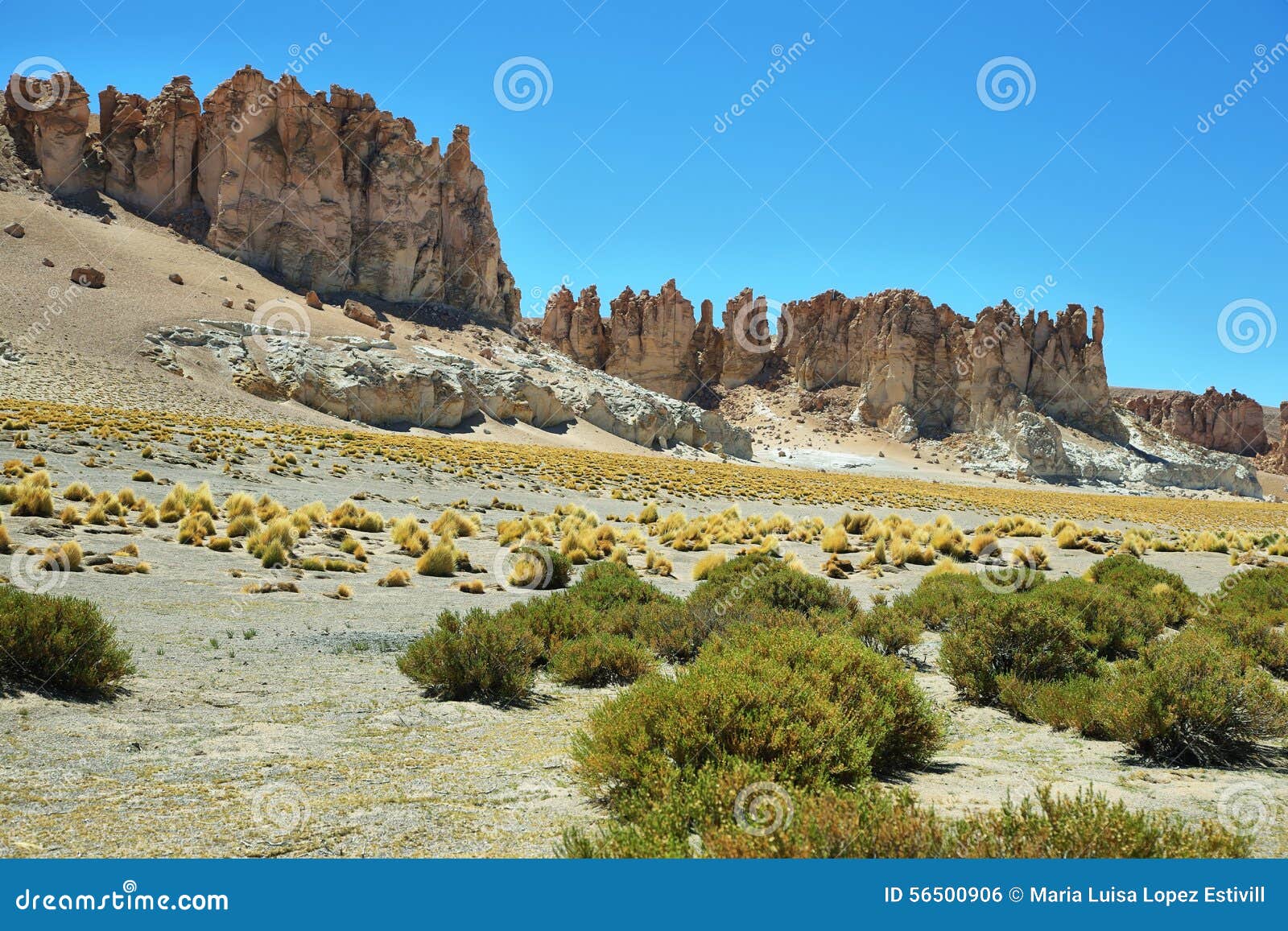 Rock Cathedrals in Salar De Tara Stock Photo - Image of region ...