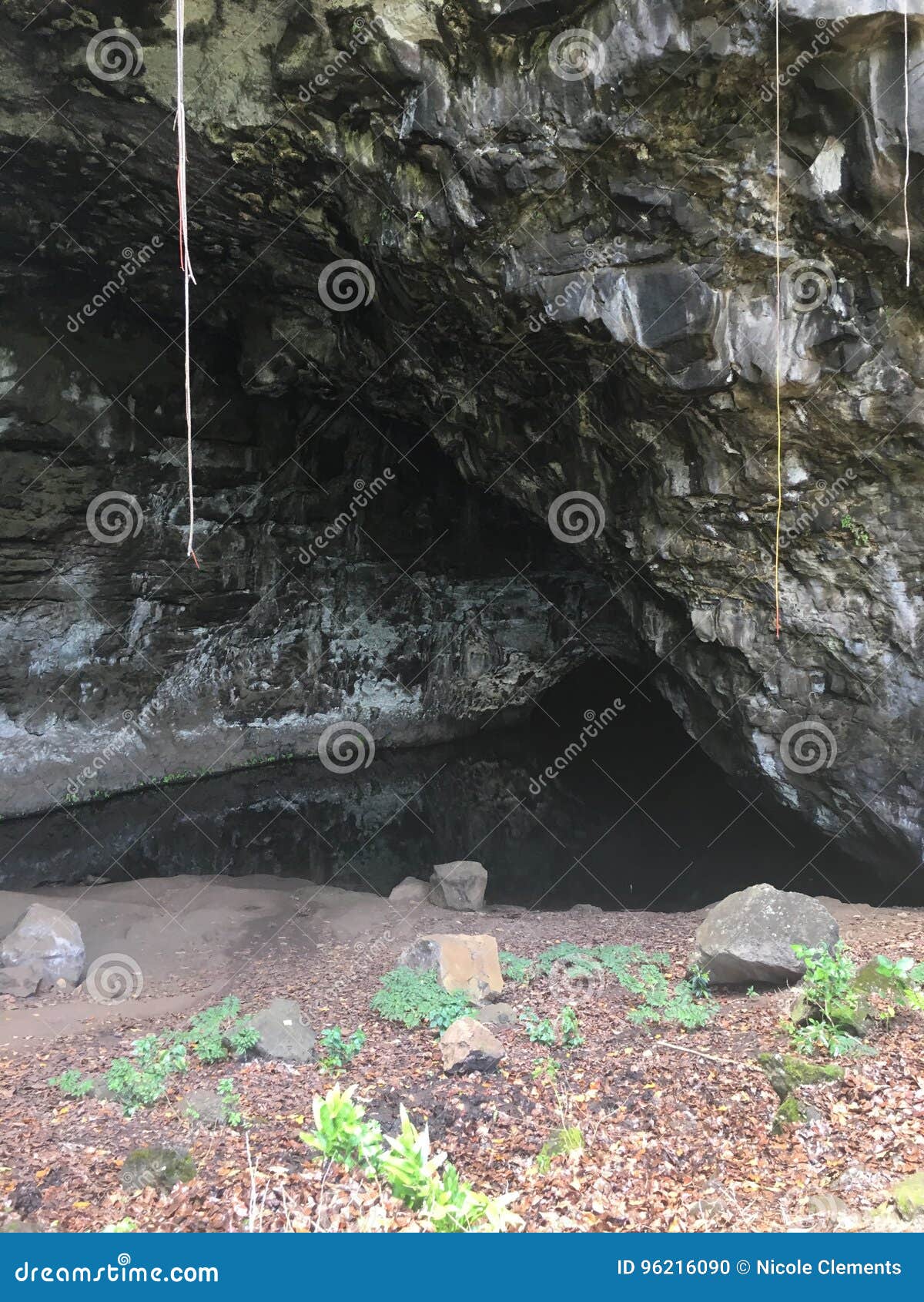 Rock cave stock photo. Image of cave, rock, vine, nature - 96216090