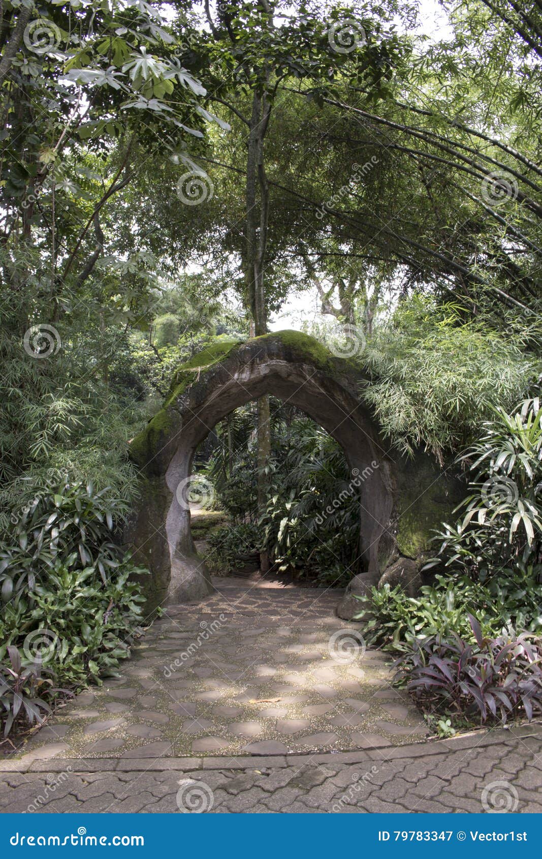 Rock cave stock image. Image of house, nature, forest - 79783347