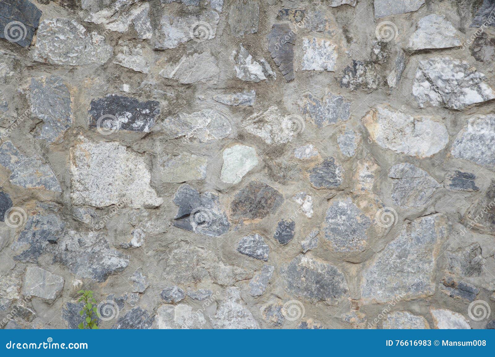 Rock on cement wall stock image. Image of marble, weathered - 76616983