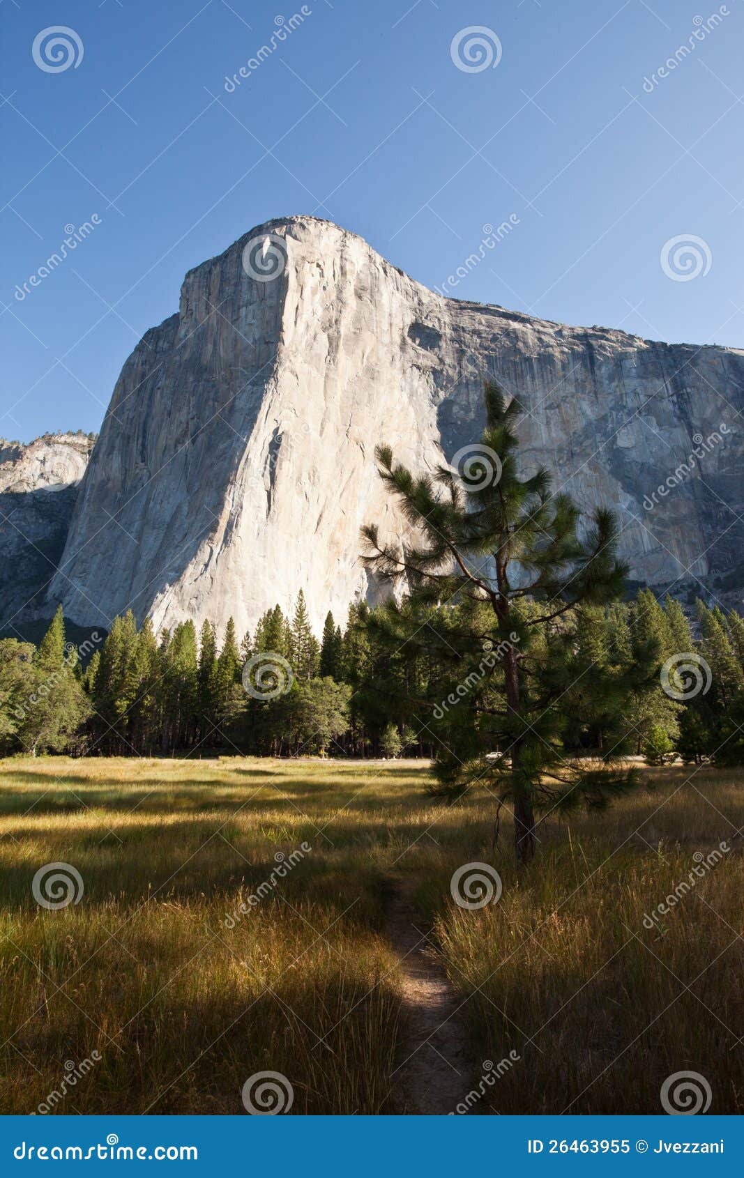 Rock cliff stock image. Image of sunrise, formation, tree - 26463955