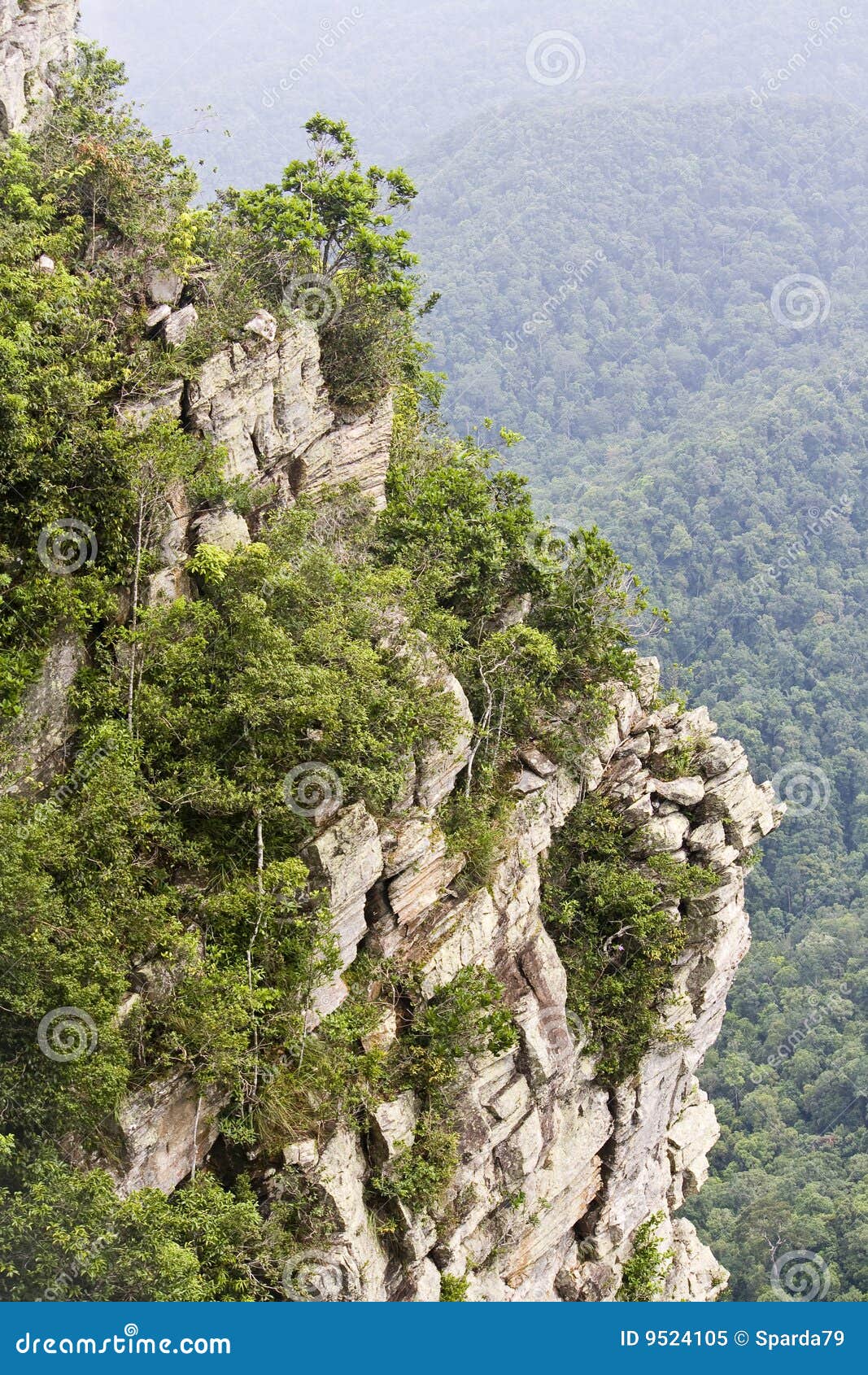 Rock cliff stock image. Image of rock, green, high, forest - 9524105