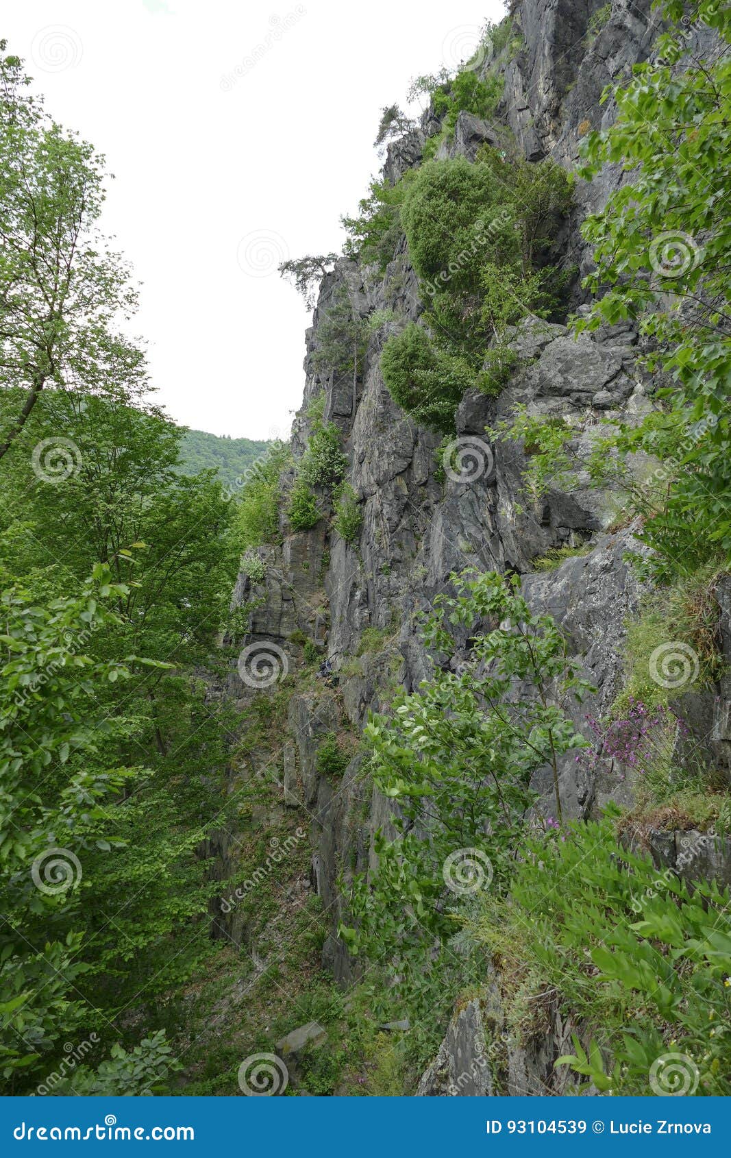 Rock Cliff with Green Trees Stock Image - Image of steep, outdoor: 93104539
