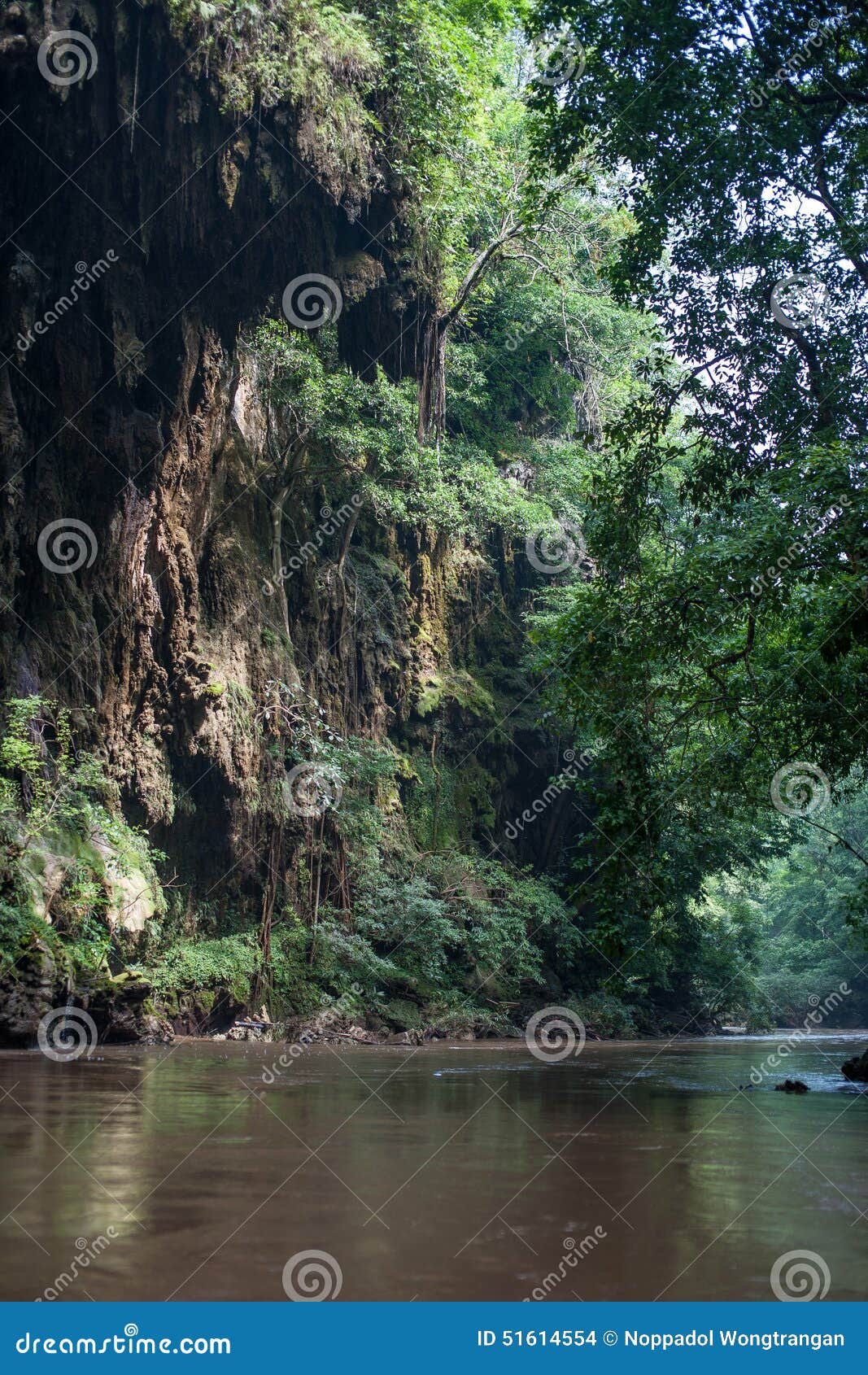 Rock cliff in the jungle stock photo. Image of branch - 51614554