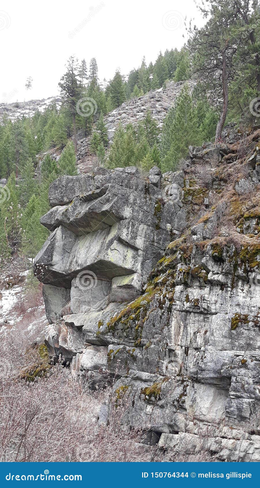 Rock cliff stock photo. Image of rock, cliff, nature - 150764344