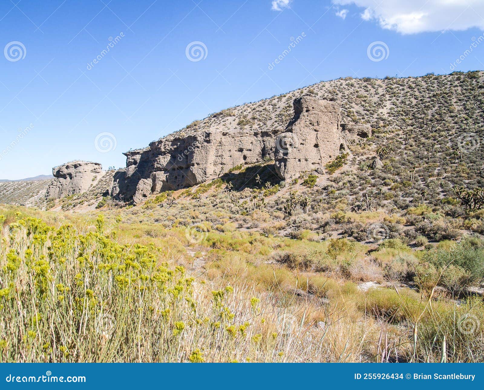 Rock Cliff and Valley with Low Desert Vegetation Stock Photo - Image of ...