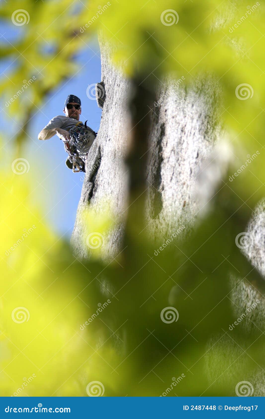 Rock Climber through the Trees Stock Photo - Image of alpine, climb ...