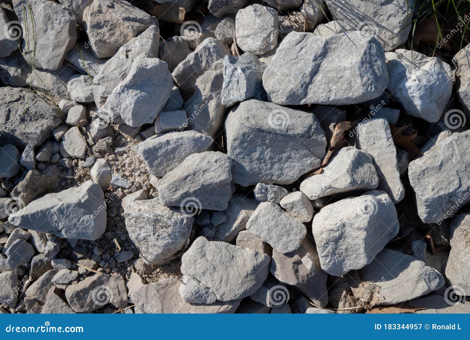 Rock Close Up Texture and Background Stock Image - Image of forest ...