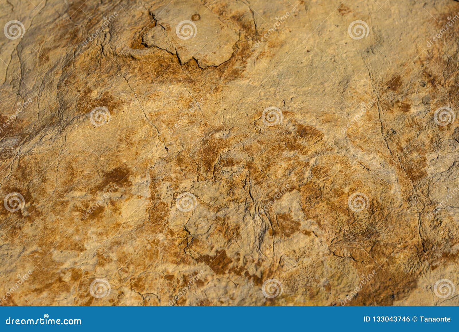 6,407 Rock Coarse Texture Photos - Free & Royalty-Free Stock Photos ...