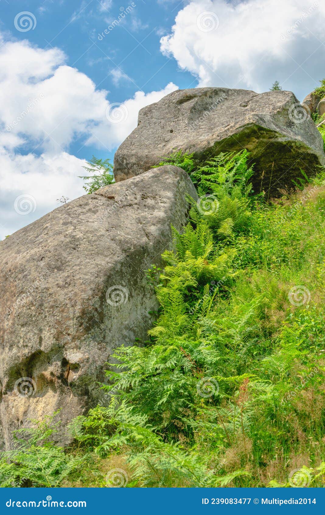 The Rock Complex of Tustan in Ukraine Stock Image - Image of nature ...