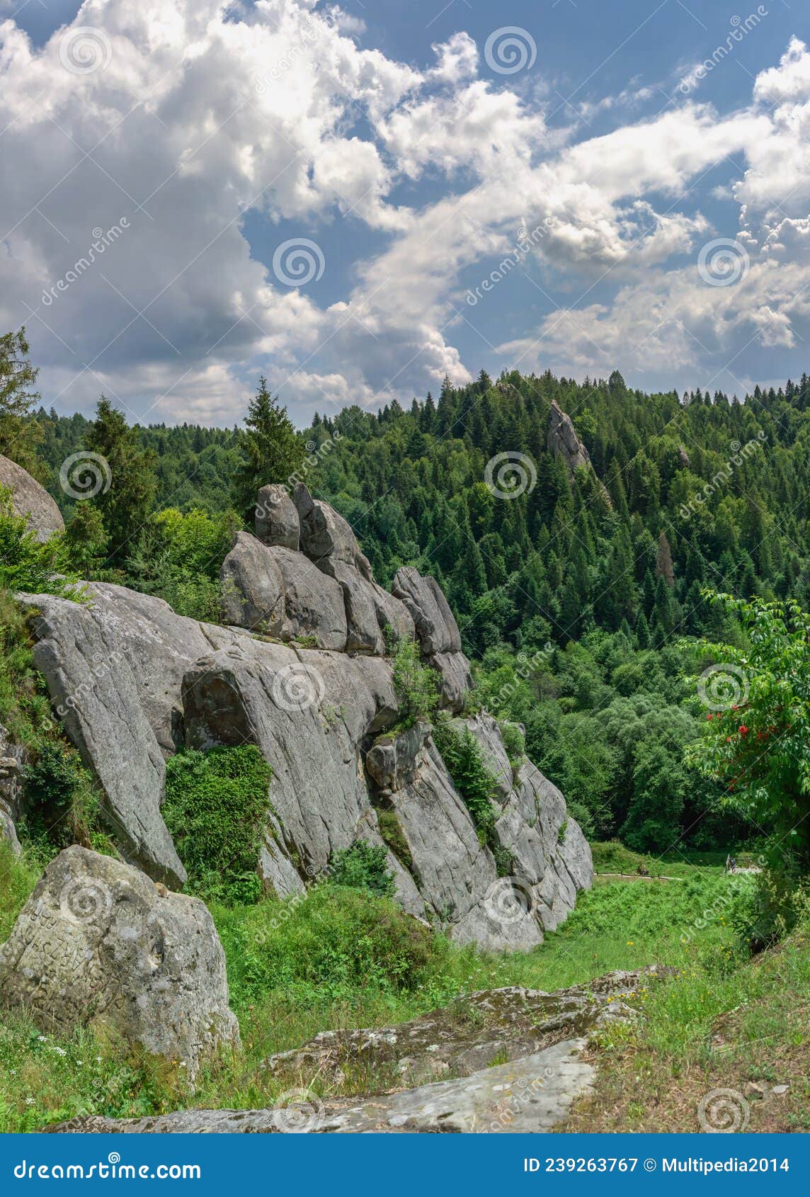 The Rock Complex of Tustan in Ukraine Stock Image - Image of ...