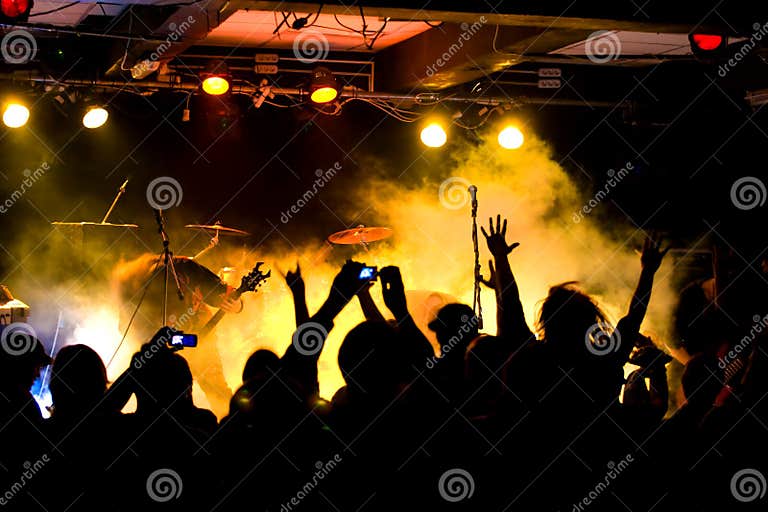 Rock concert stock photo. Image of music, night, string - 5105624