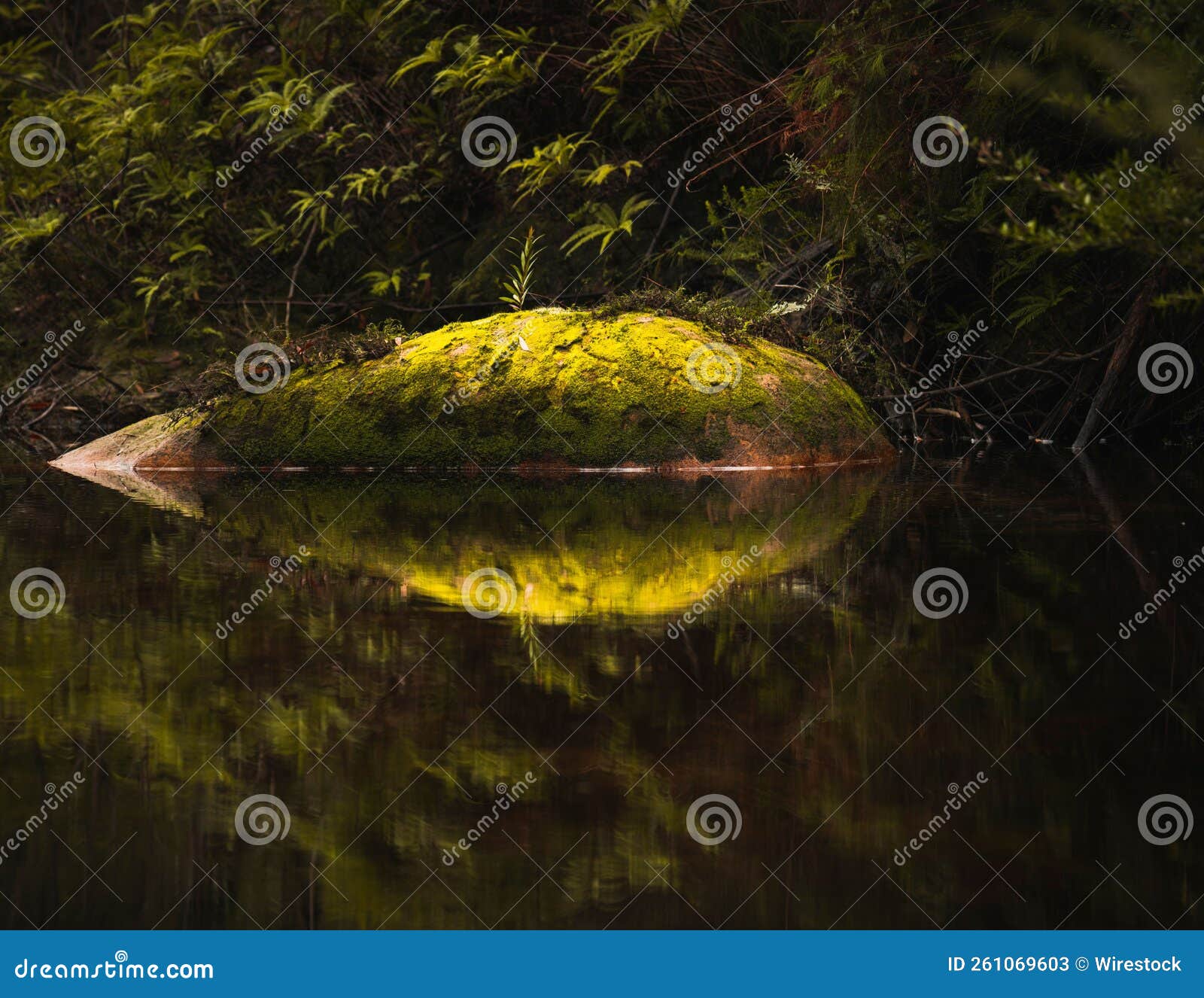 Rock Covered with Moss with Its Reflection on the Water Stock Image ...