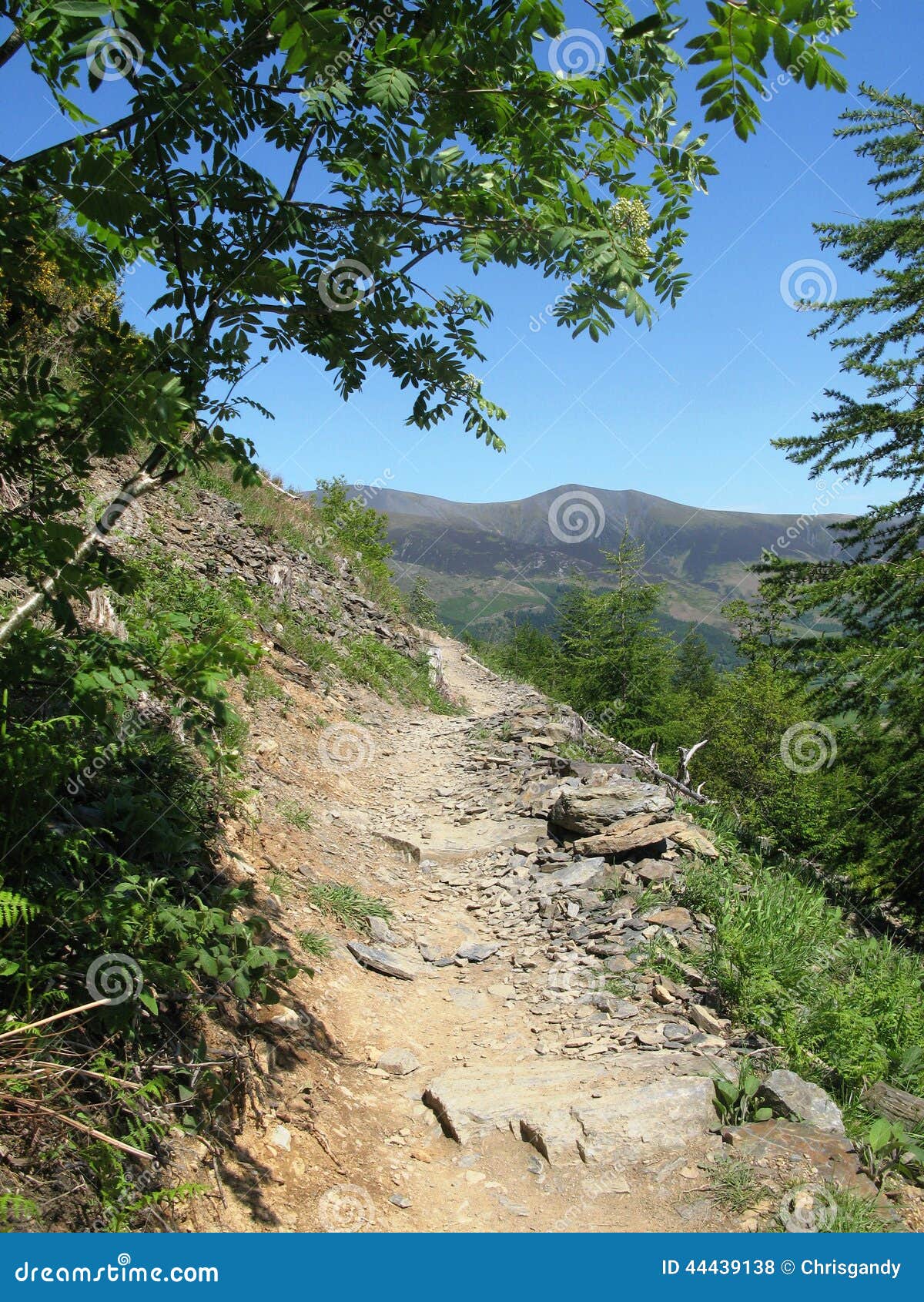 A Rock Covered Path or Trail on the Side of a Mountain Stock Photo ...