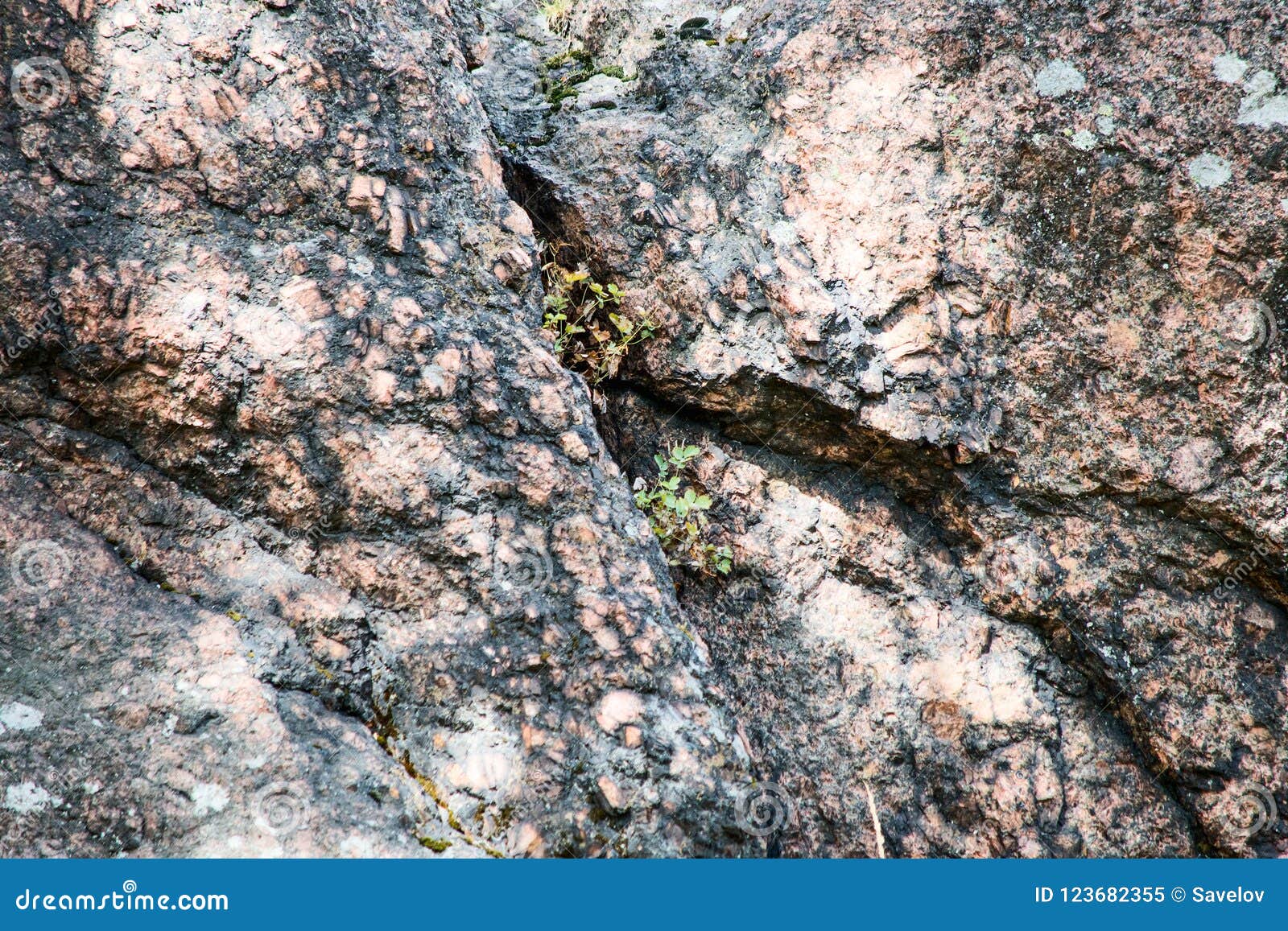 Rock with a crack is close stock image. Image of surface - 123682355