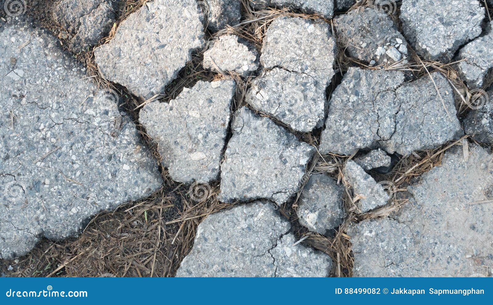 Rock crack texture stock photo. Image of dirty, cement - 88499082