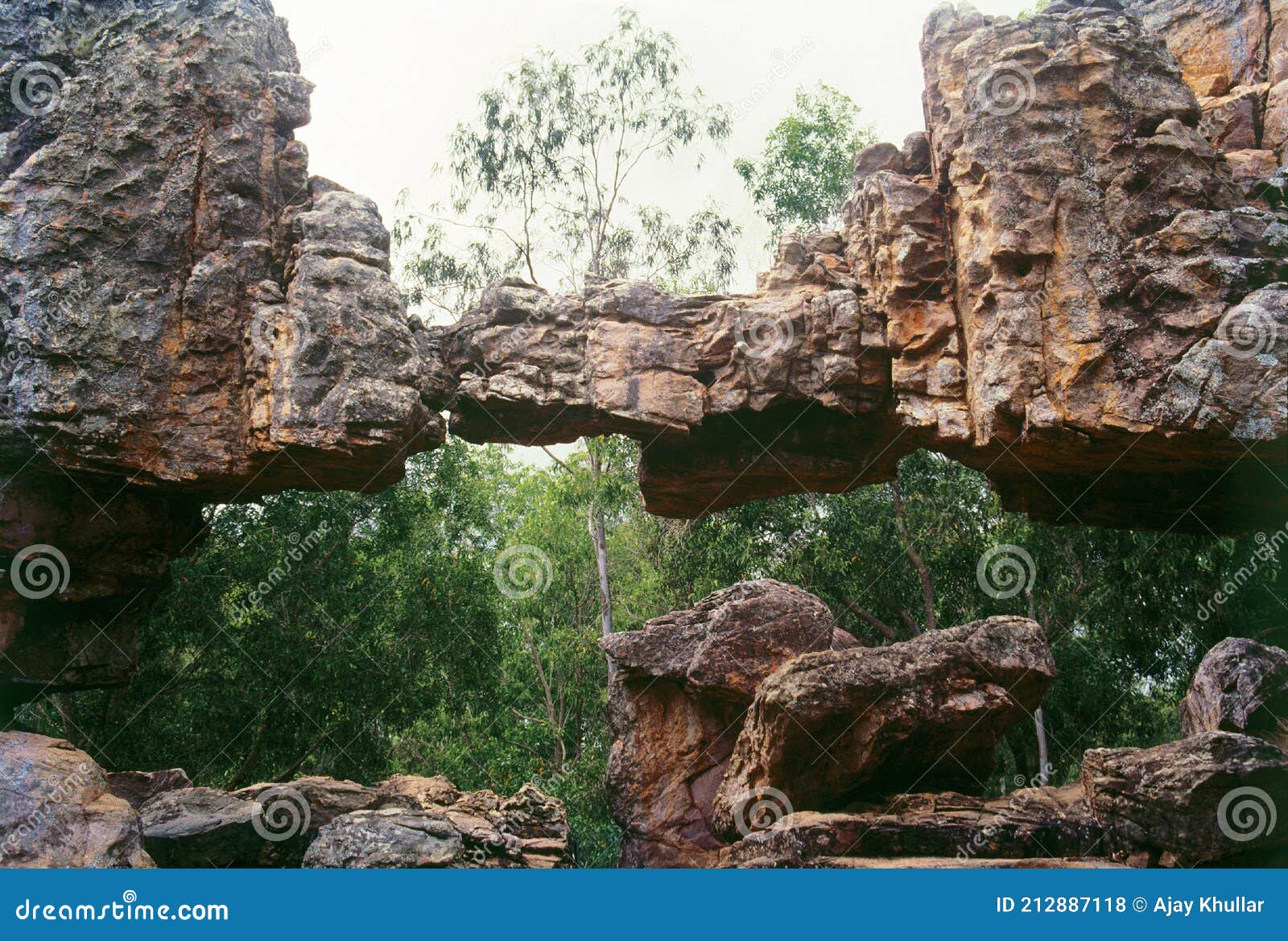 Stone bridge in the forest stock photo. Image of rock - 212887118