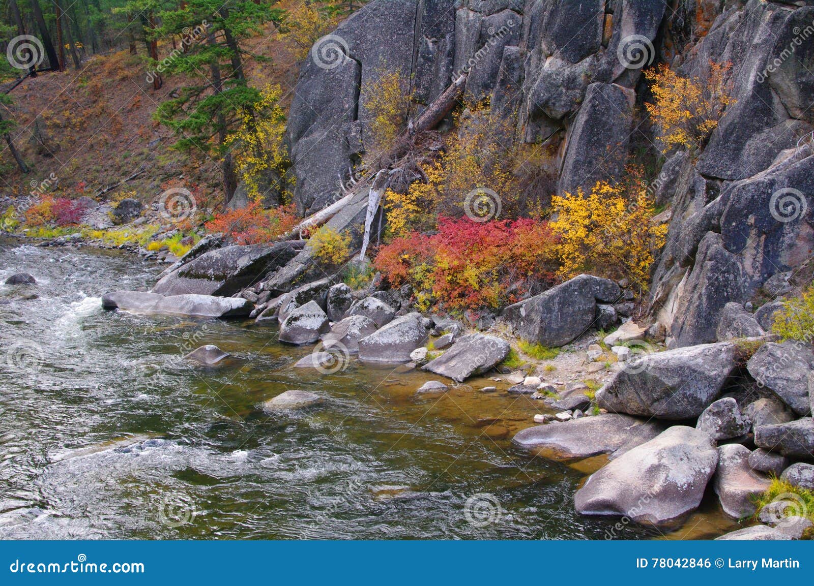 Rock Creek Sapphire Mountains Photo stock - Image du rocheux, montana ...