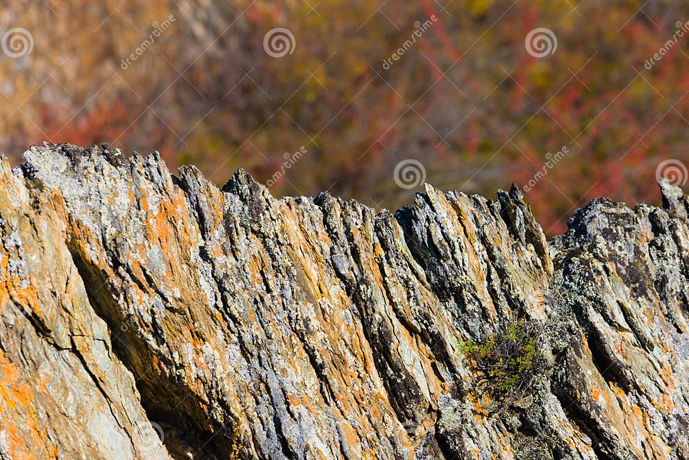 Rock crest stock photo. Image of yellow, mountains, leaves - 20767612