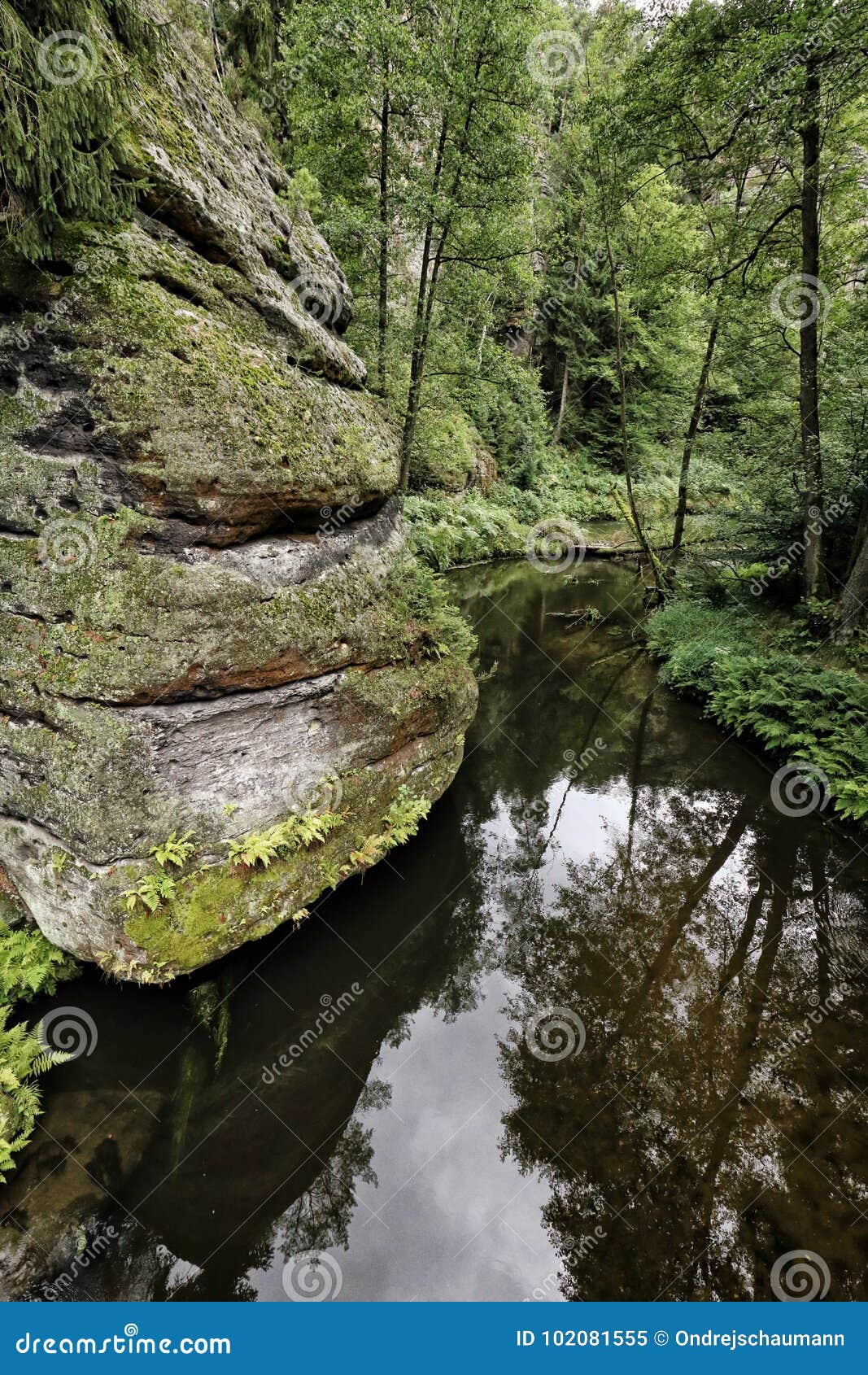 Rock by the Curved River in the Forest Stock Image - Image of middle ...